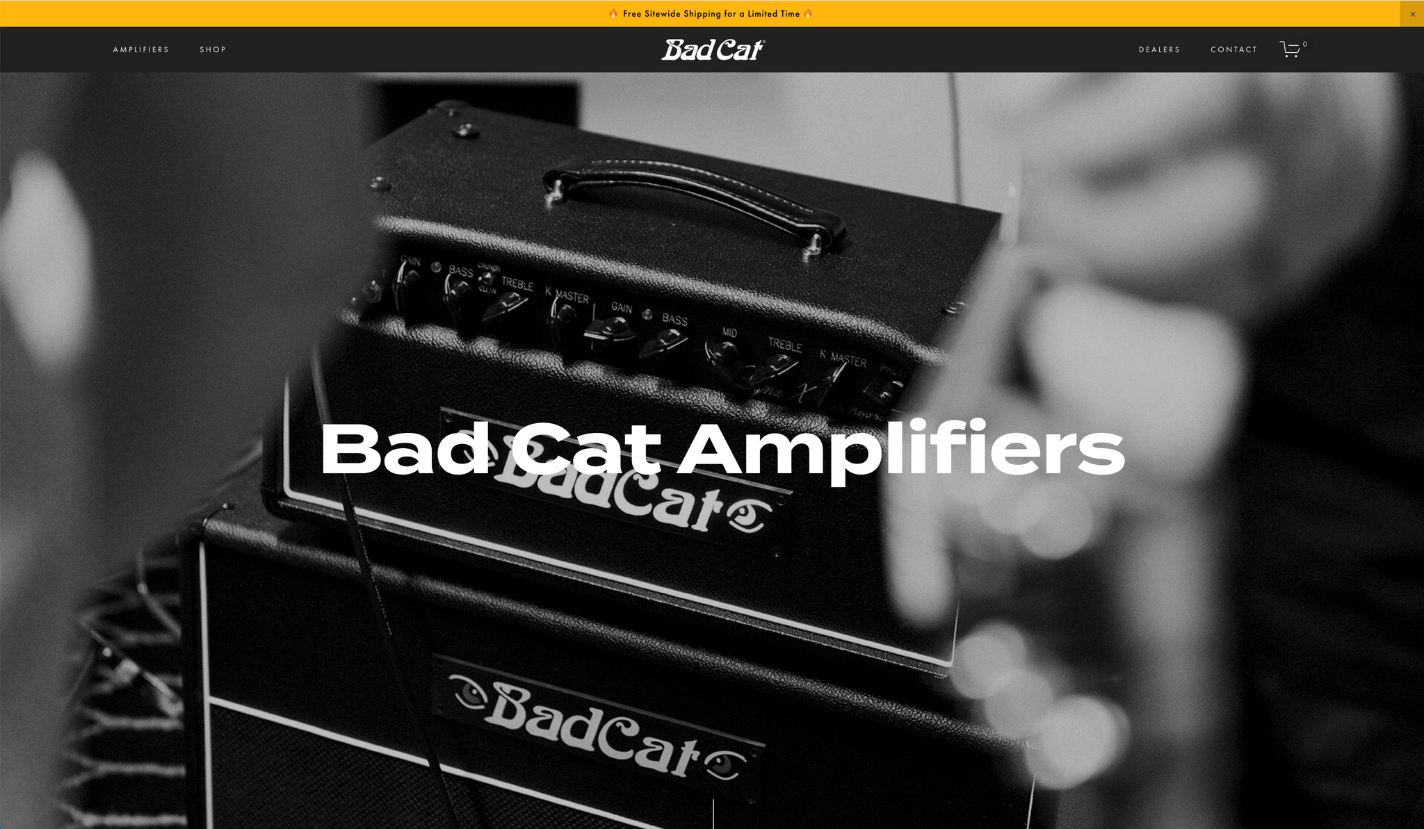 Bad Cat Amplifiers