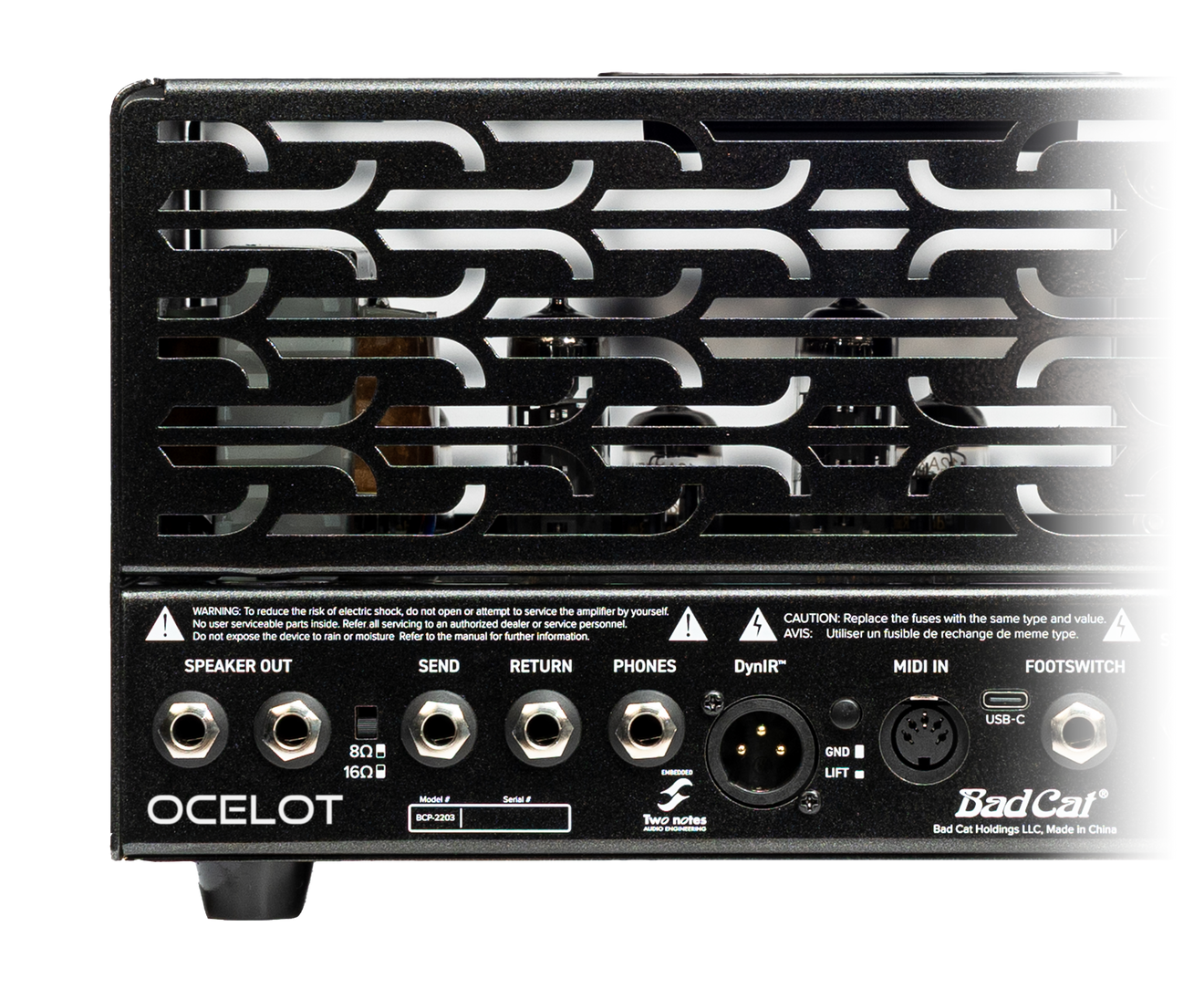 Ocelot